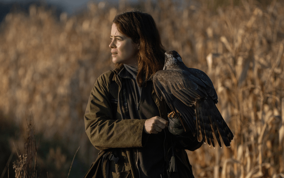 H is for Hawk | Kiln Theatre